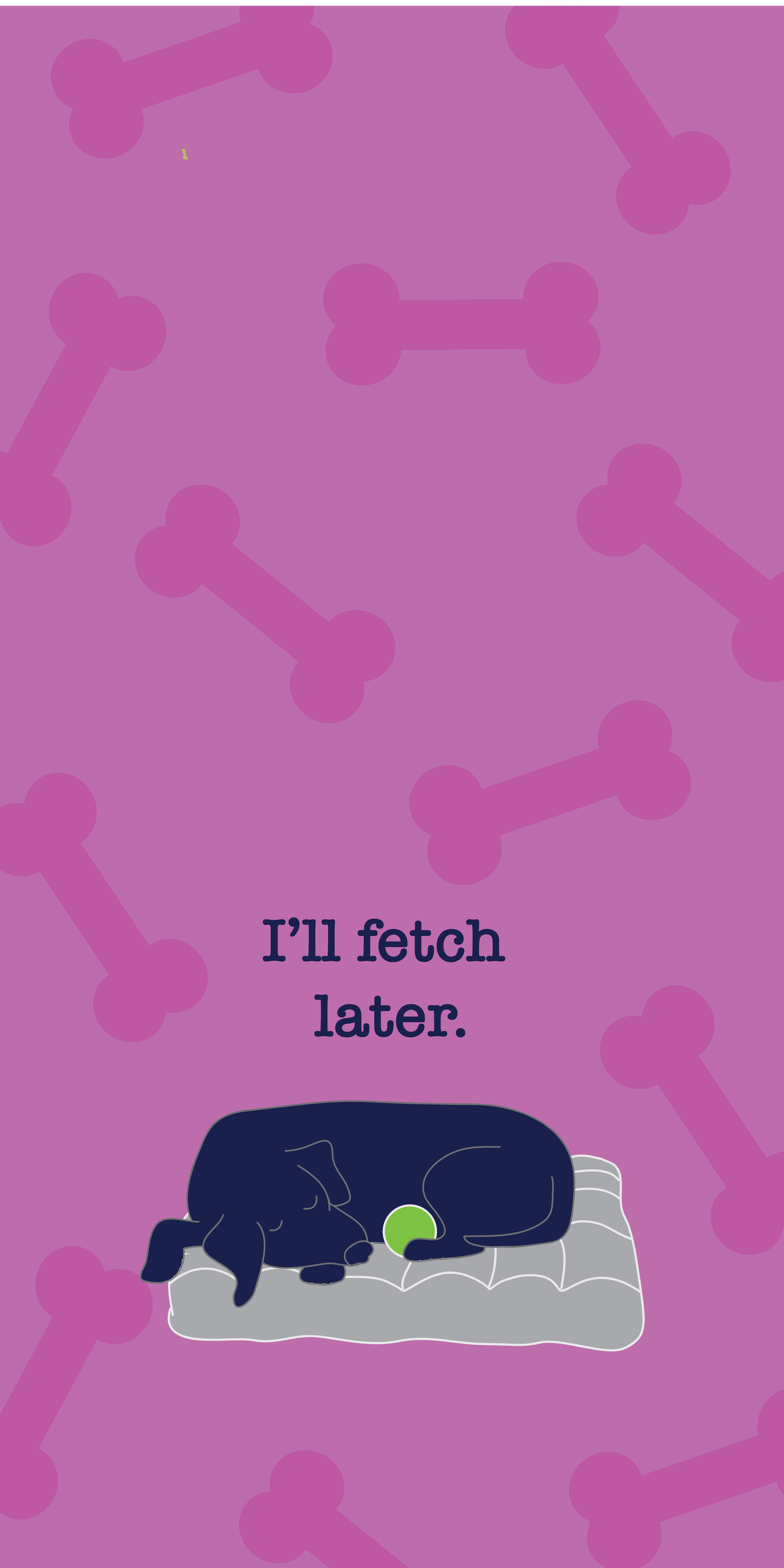 NEW! I'll Fetch Later – Clutch Towels